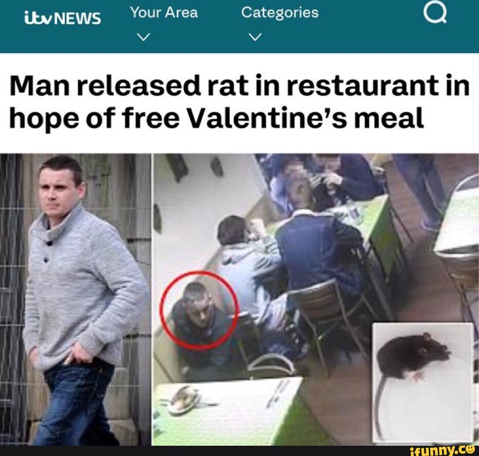 NEWS Your Area Categories Man released rat in restaurant in hope of ...