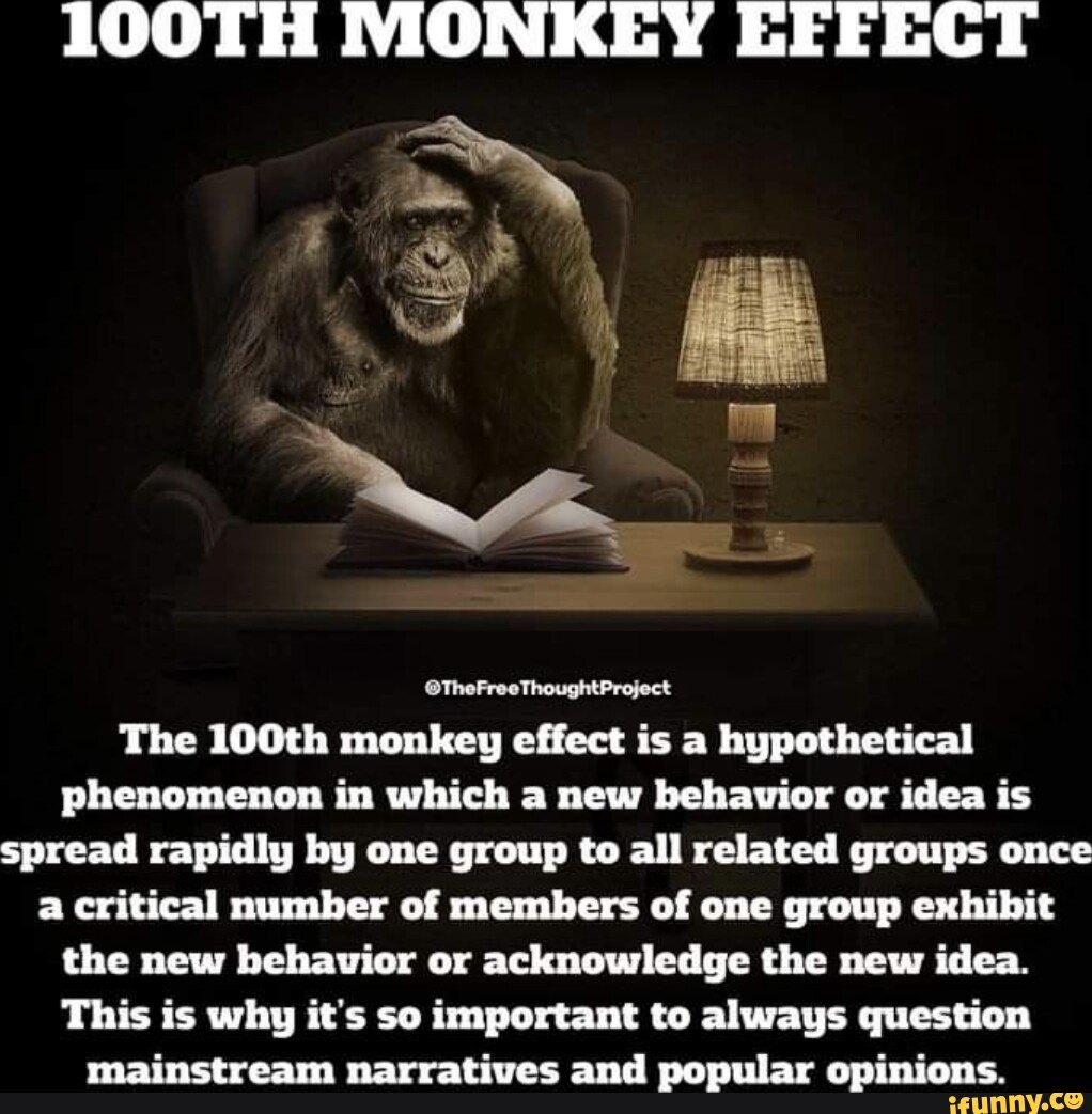 100TH MONKEY EFFECT @TheFreeThoughtProject The 100th monkey effect is a ...