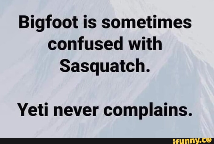 Yeti memes. Best Collection of funny Yeti pictures on iFunny