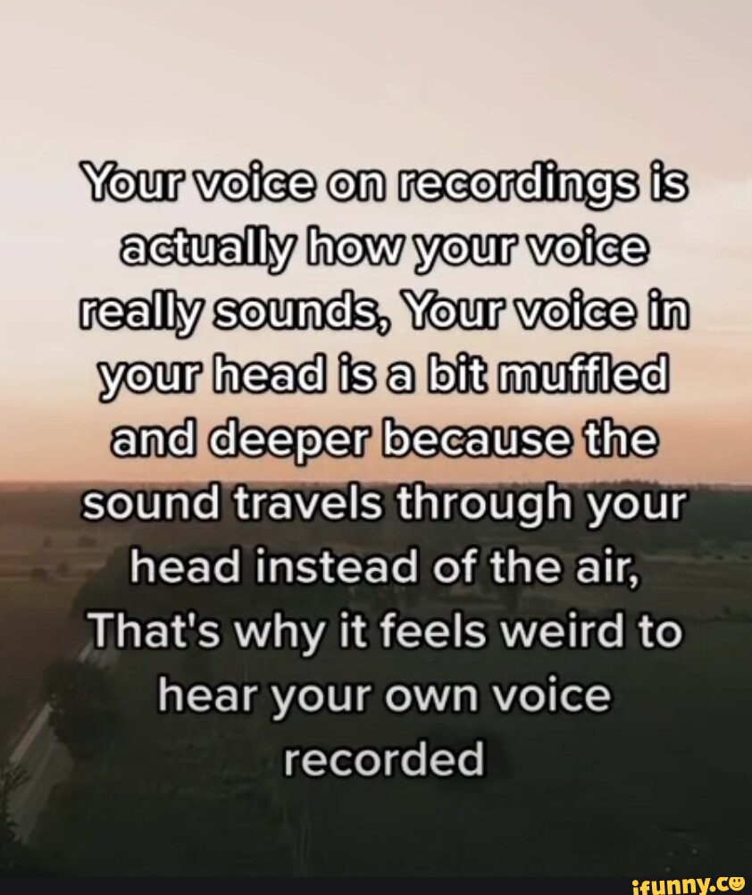 Muffled memes. Best Collection of funny Muffled pictures on iFunny