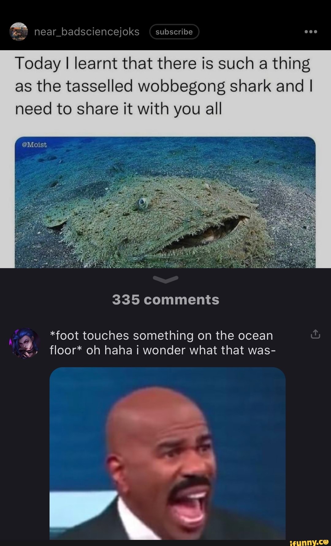 Wobbegong memes. Best Collection of funny Wobbegong pictures on iFunny