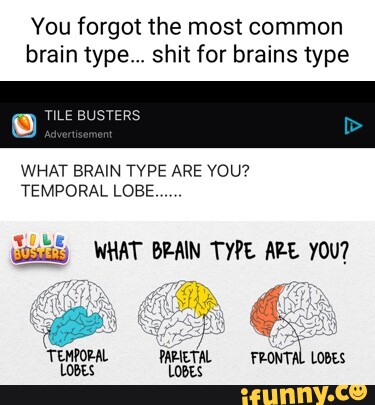 You forgot the most common brain type... shit for brains type WHAT ...