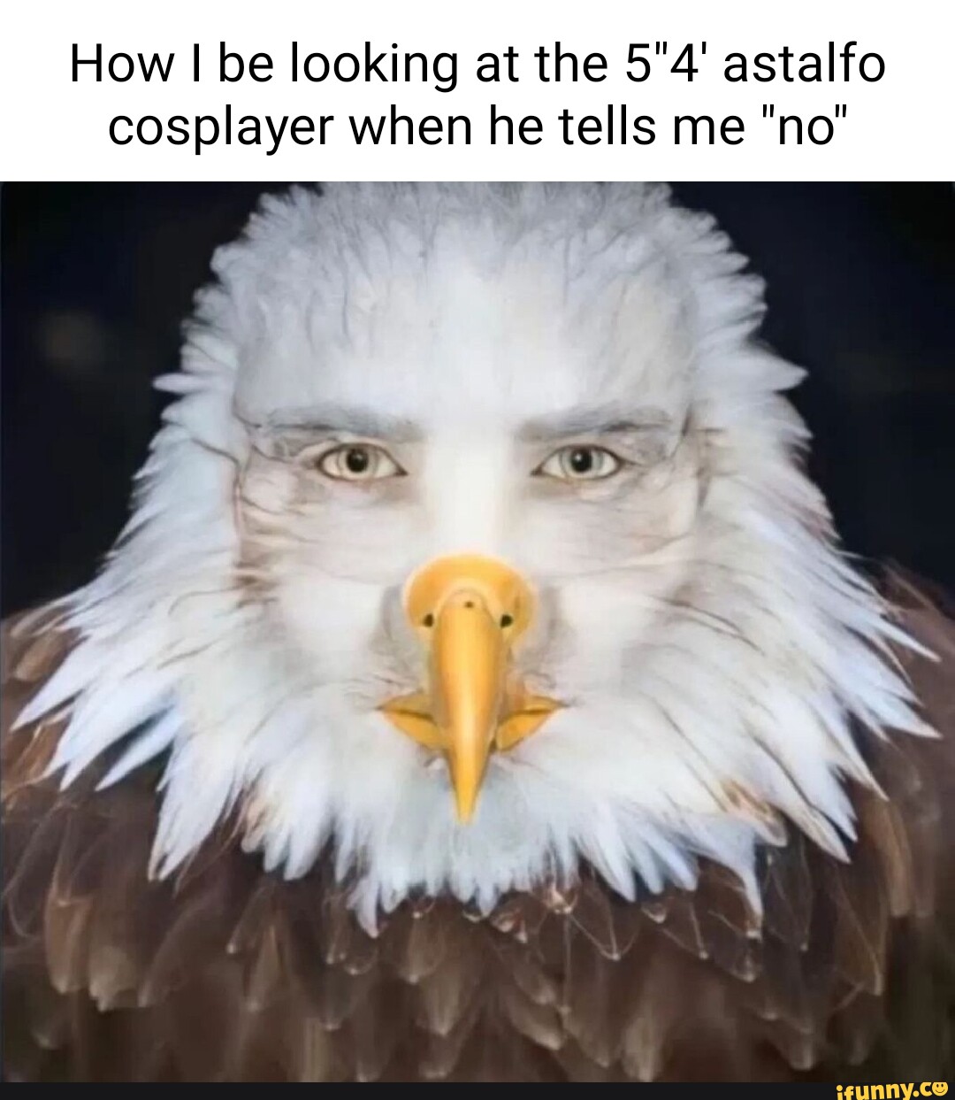 Ow I be looking at the astalfo cosplayer when he tells me "no' LE, - iFunny