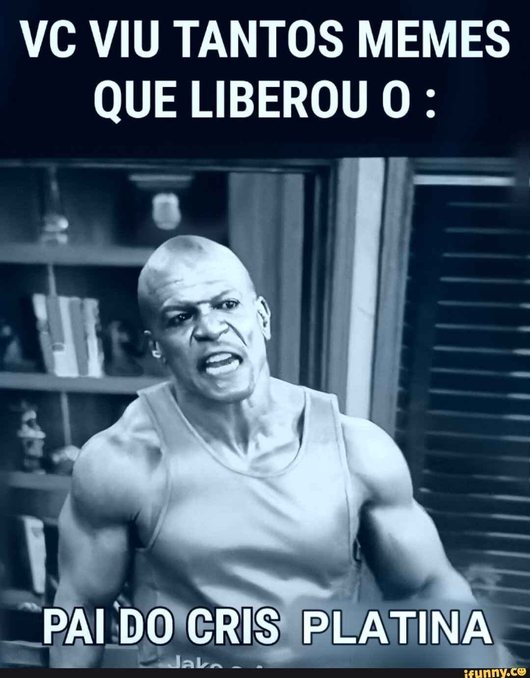 VC VIU TANTOS MEMES QUE LIBEROU O : PALDO CRIS PLATINA - iFunny Brazil