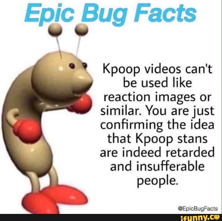 Epic Bug Facts Kpoop videos can't be used like reaction images or ...