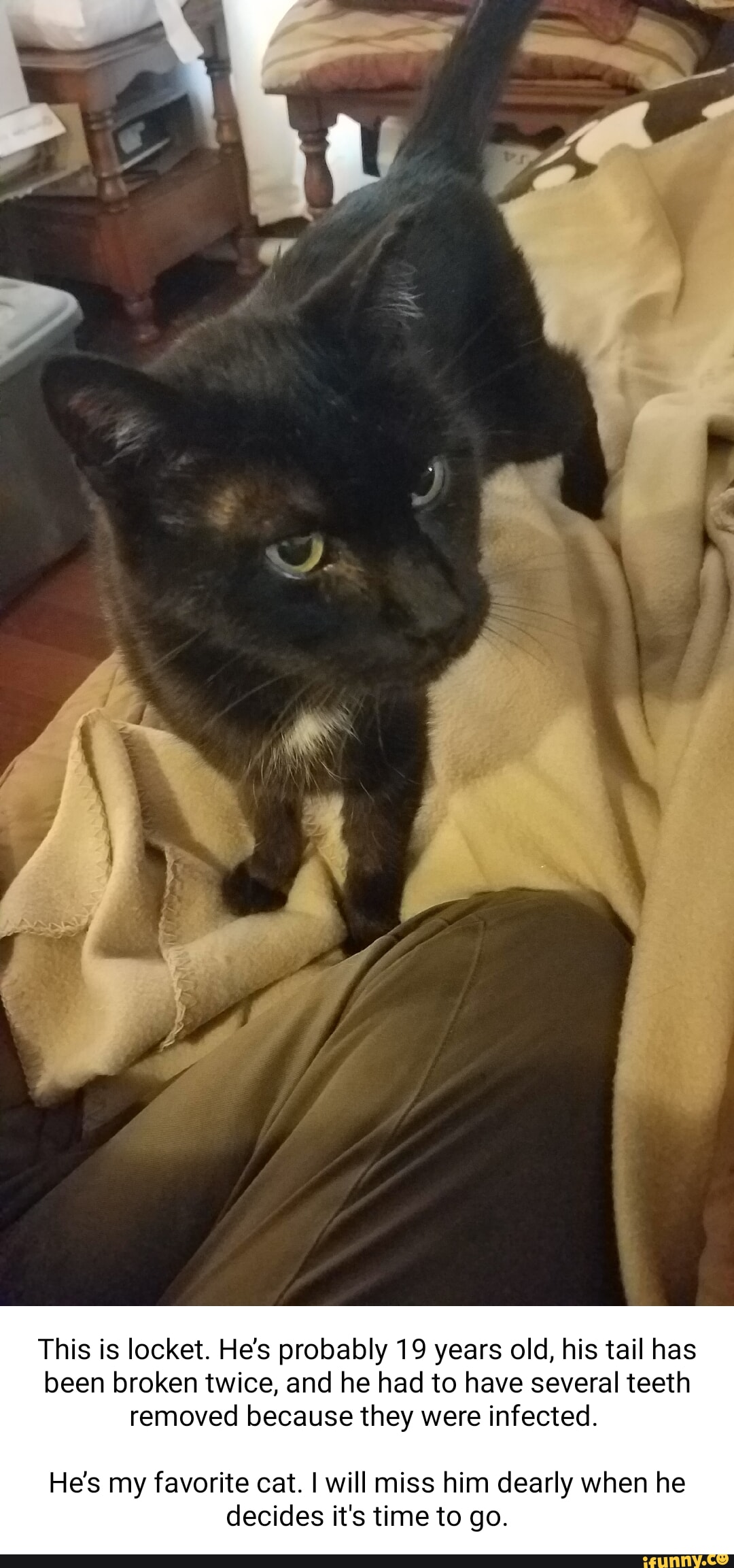 Locket memes. Best Collection of funny Locket pictures on iFunny