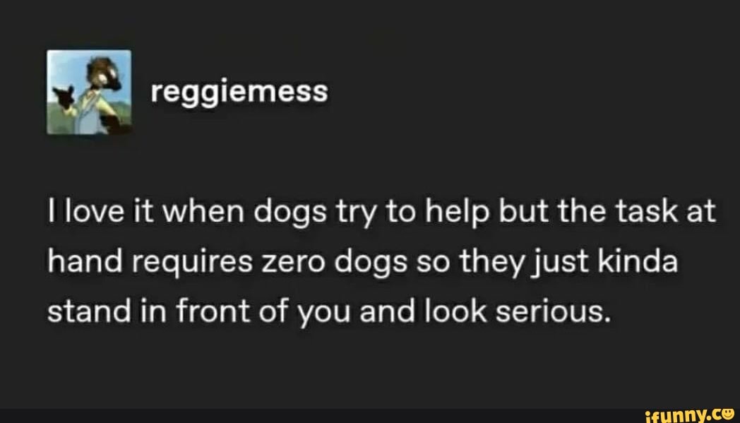 Reggiemess I love it when dogs try to help but the task at hand ...