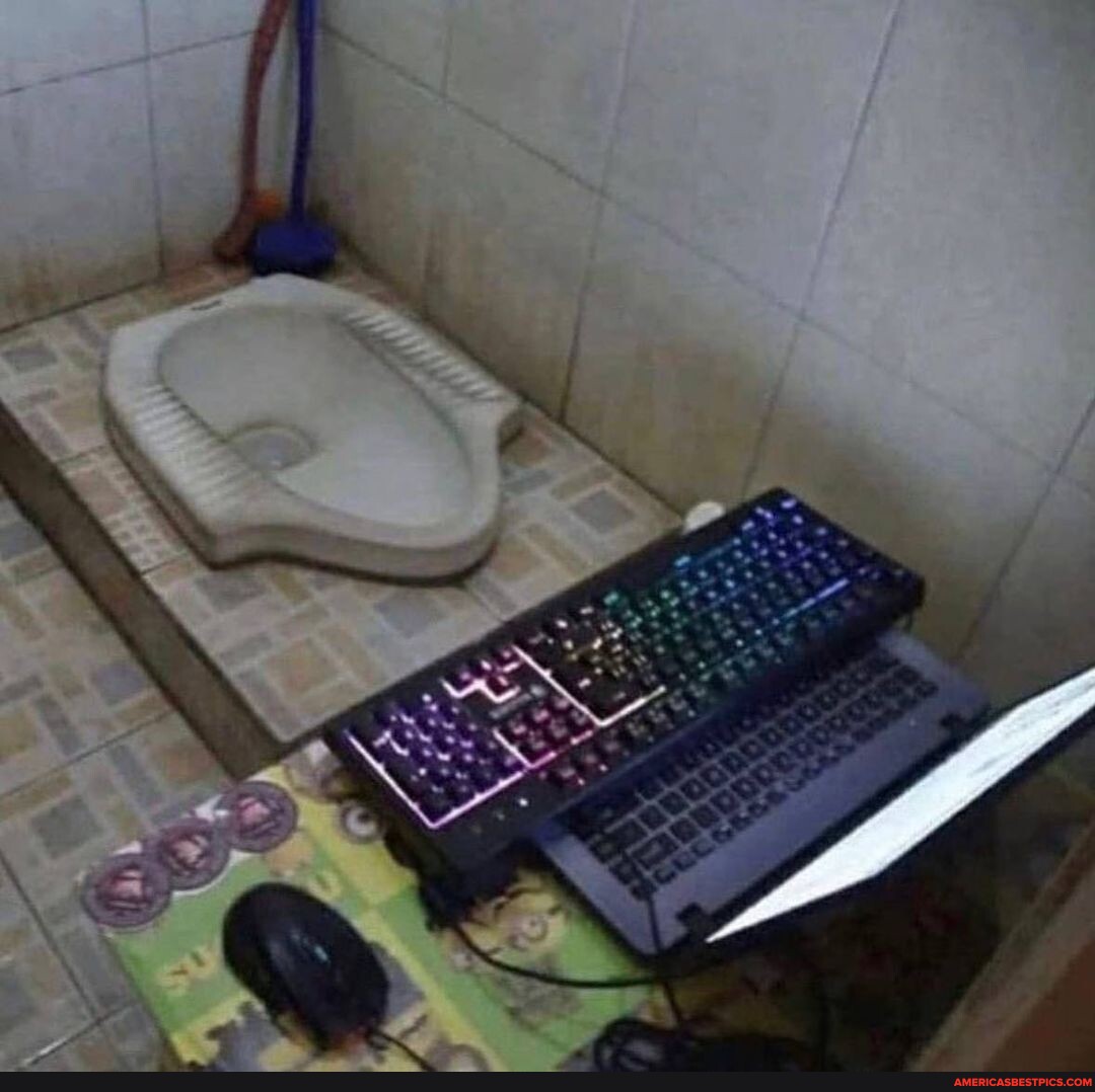 Pooping setup - America’s best pics and videos
