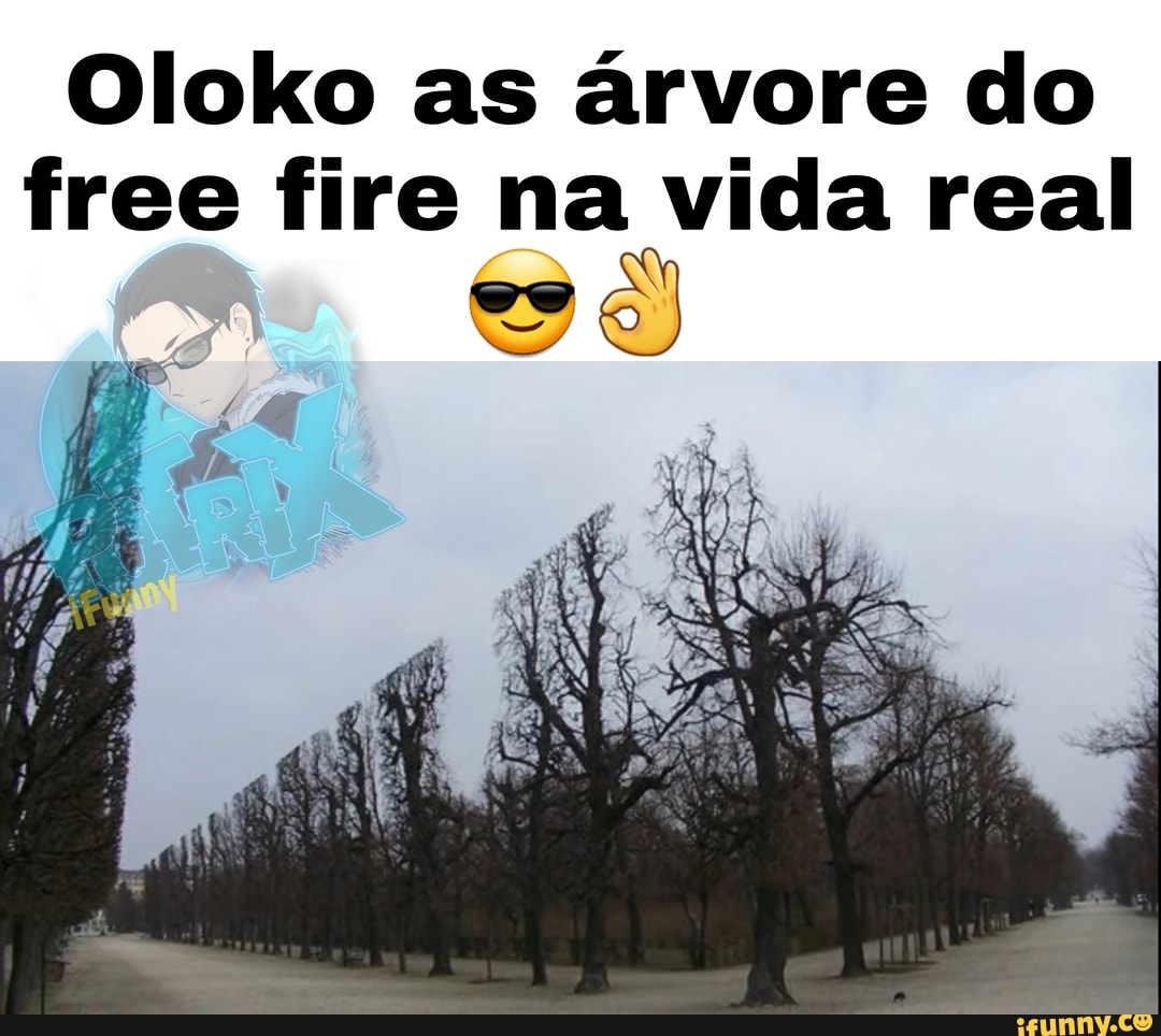 Oloko as árvore do free fire na vida real hd - iFunny