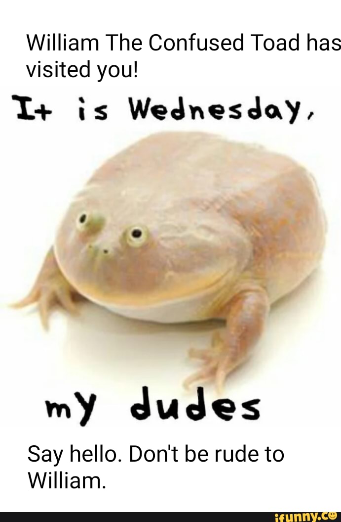 William The Confused Toad has visited you! It is Wednesday, my dudes ...