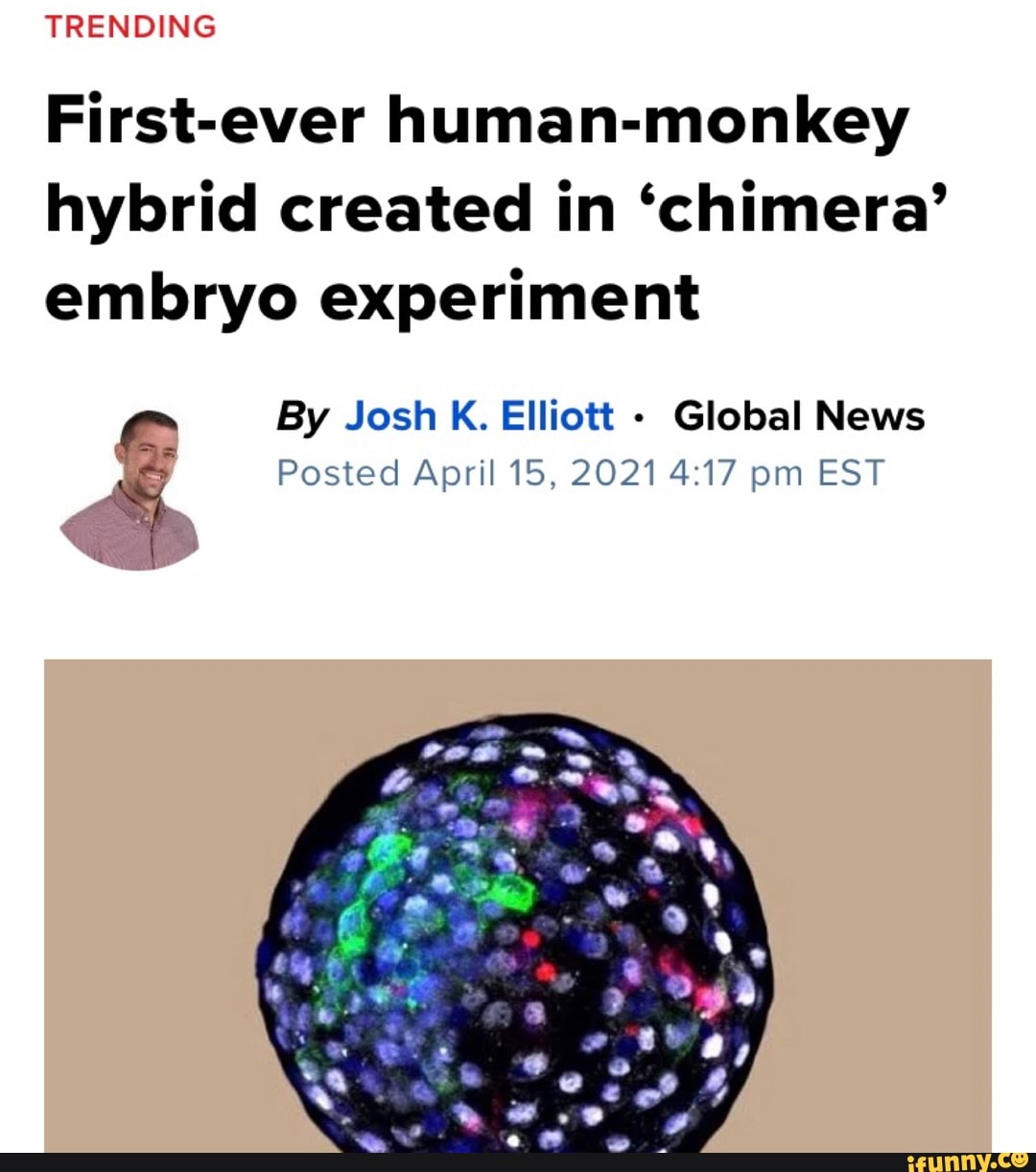 TRENDING First-ever human-monkey hybrid created in 'chimera' embryo ...