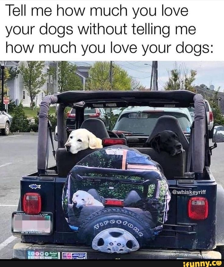 Tell me how much you love your dogs without telling me how much you ...