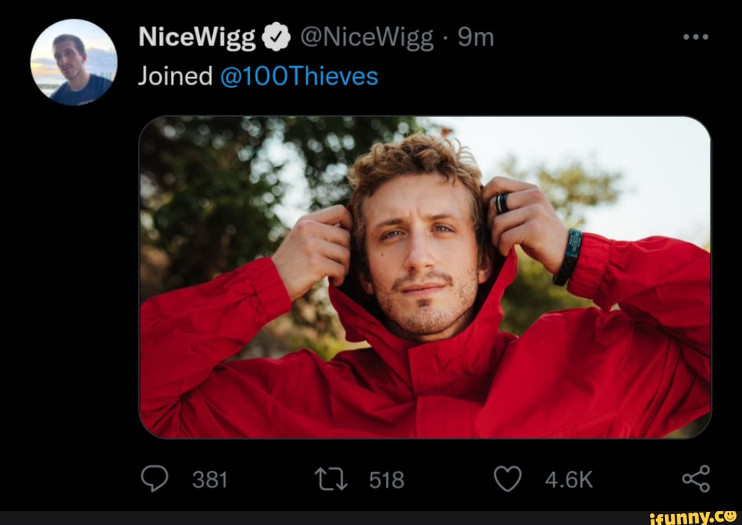 Nicewigg memes. Best Collection of funny Nicewigg pictures on iFunny