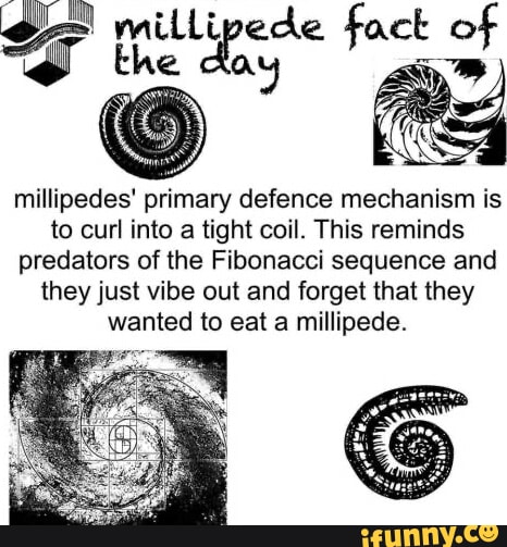 Millipede memes. Best Collection of funny Millipede pictures on iFunny