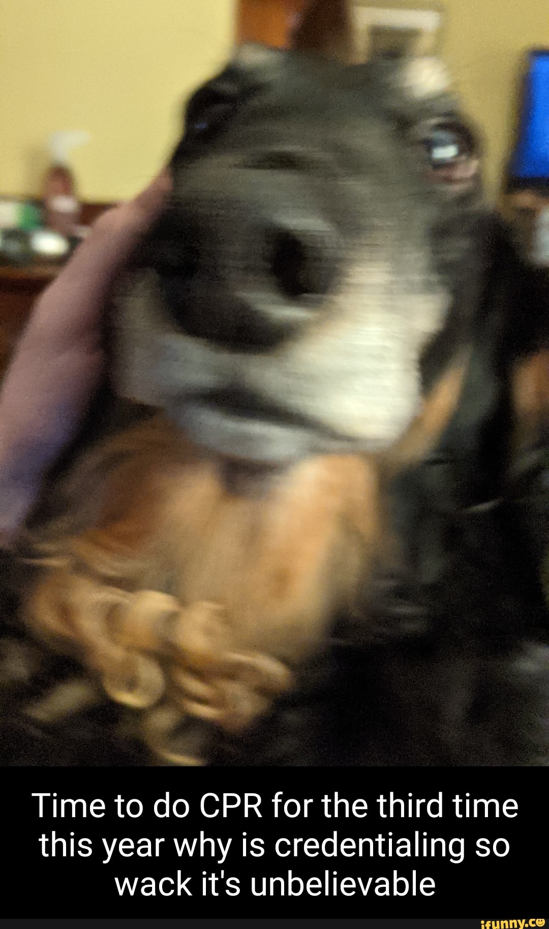 Credentialing memes. Best Collection of funny Credentialing pictures on ...