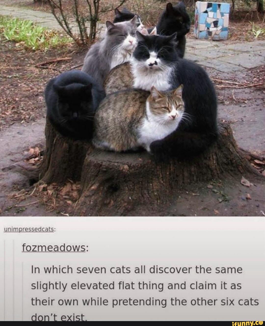 Rotfl memes. Best Collection of funny Rotfl pictures on iFunny