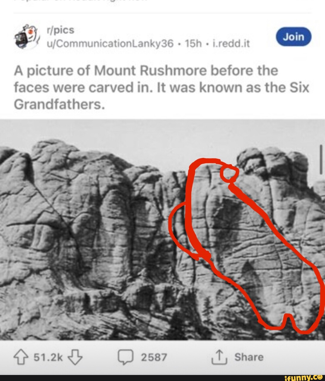Kitten Version Mount Rushmore