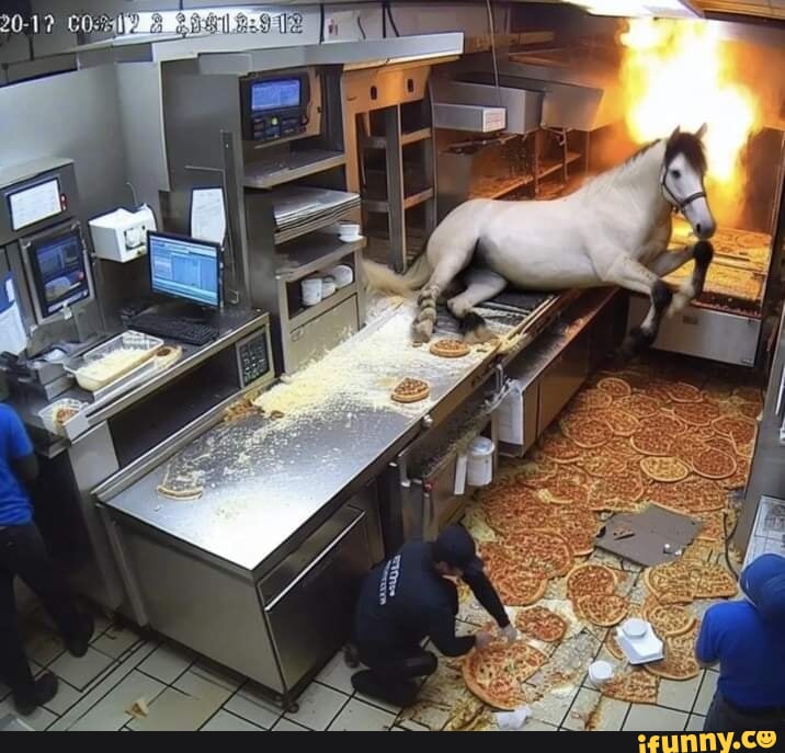 Honse memes. Best Collection of funny Honse pictures on iFunny