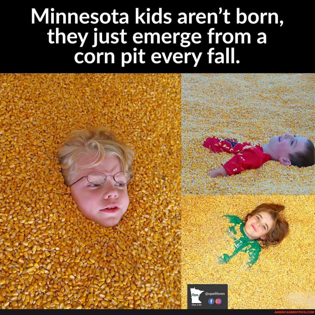 Minnesota kids aren't born, they just emerge from a corn pit every fall ...