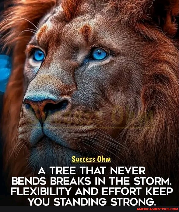 Success Ohm A TREE THAT NEVER BENDS BREAKS IN THE STORM. FLEXIBILITY ...