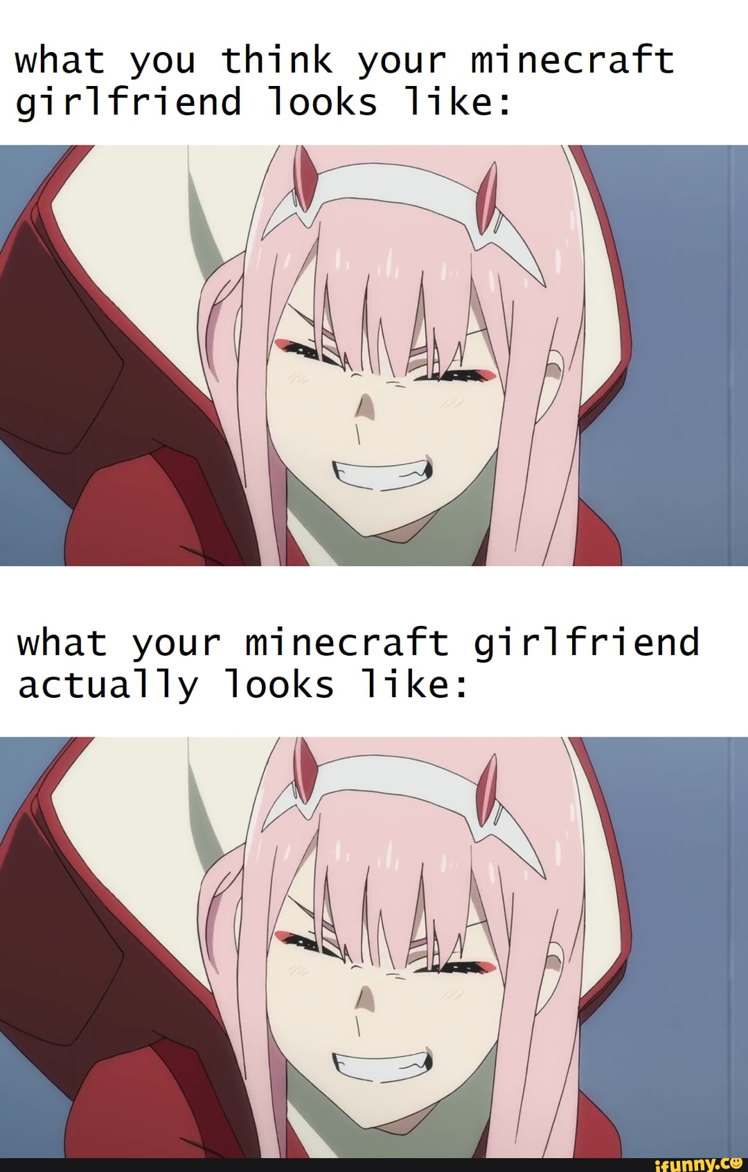 What you think your minecraft girlfriend looks like: what your ...