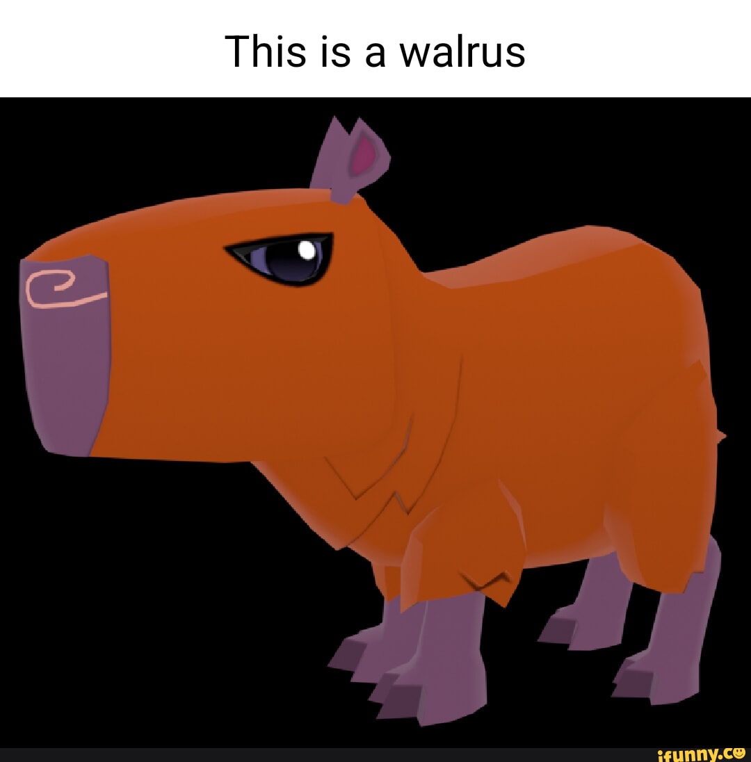 Walrus memes. Best Collection of funny Walrus pictures on iFunny