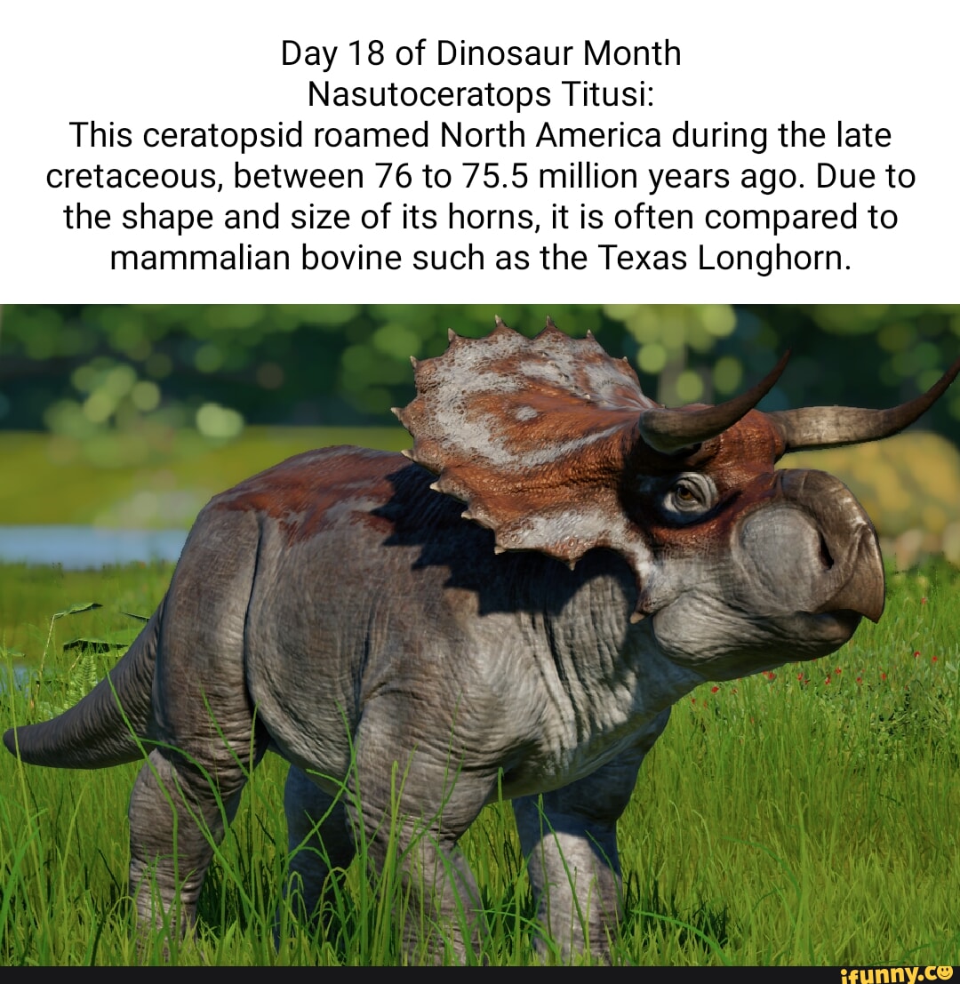 Nasutoceratops Memes