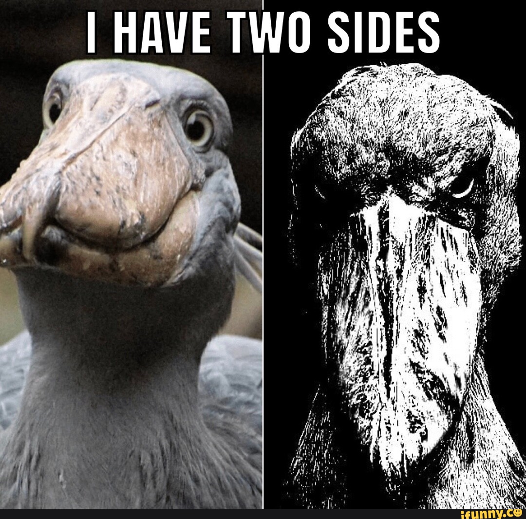I HAVE TWO SIDES - iFunny
