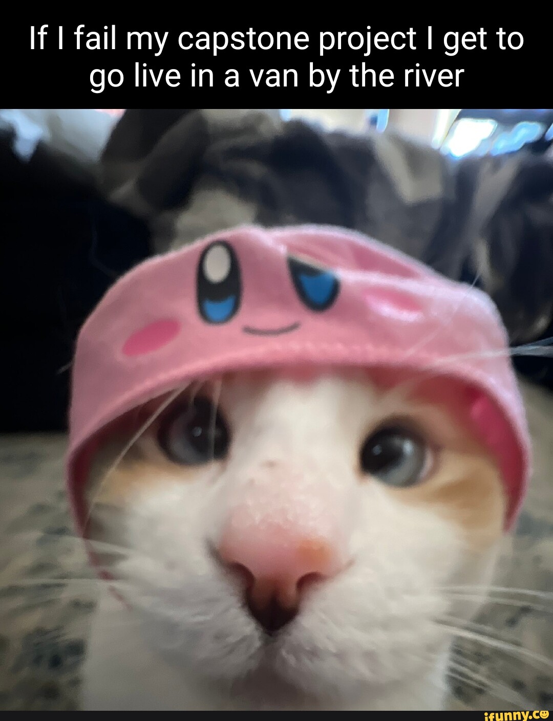 Capstone memes. Best Collection of funny Capstone pictures on iFunny