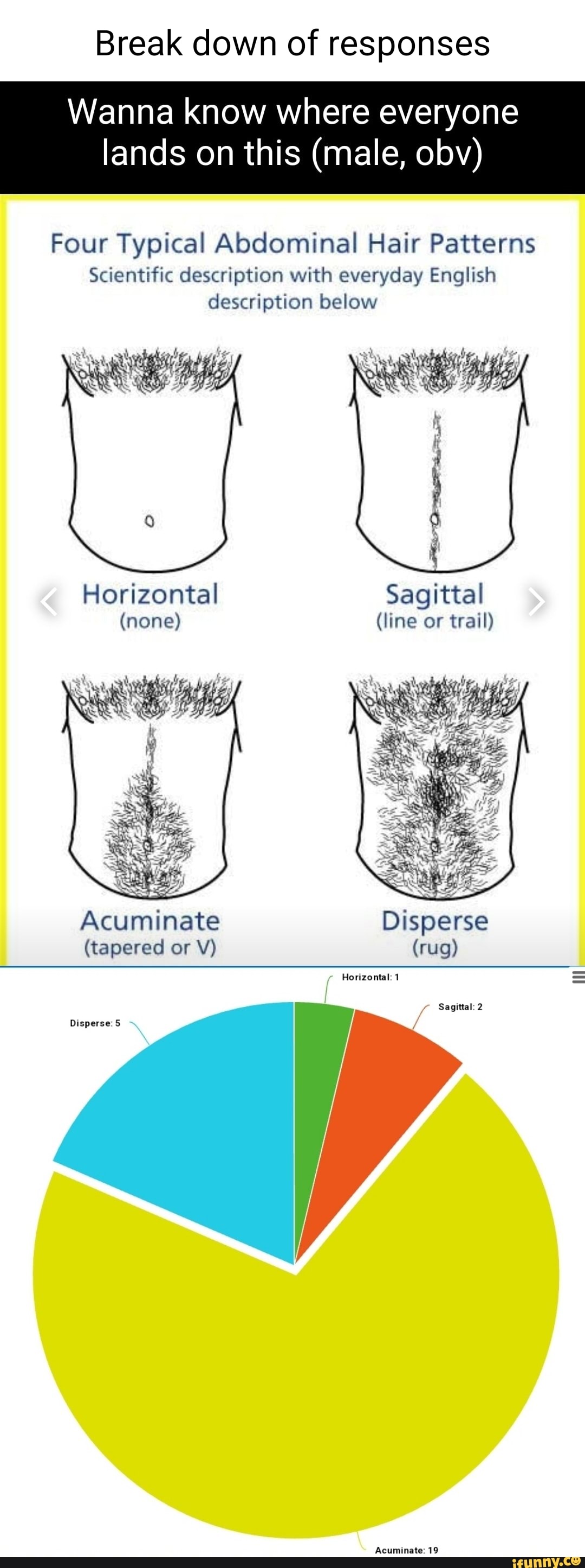 Sagittal memes. Best Collection of funny Sagittal pictures on iFunny