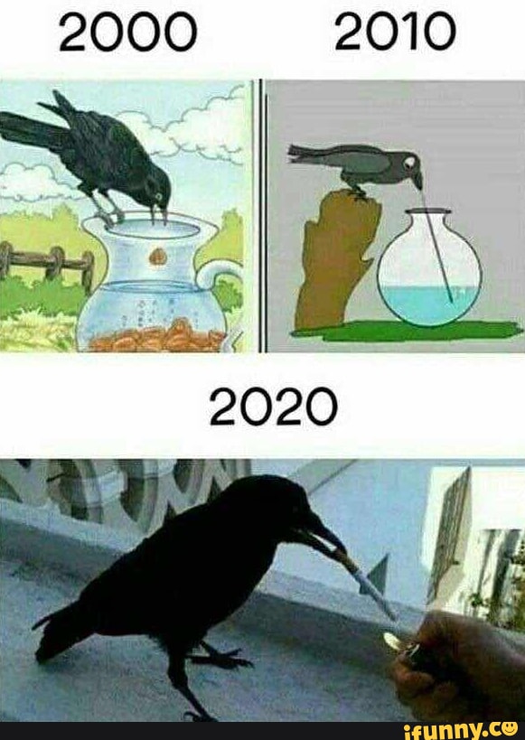 Crows memes. Best Collection of funny Crows pictures on iFunny