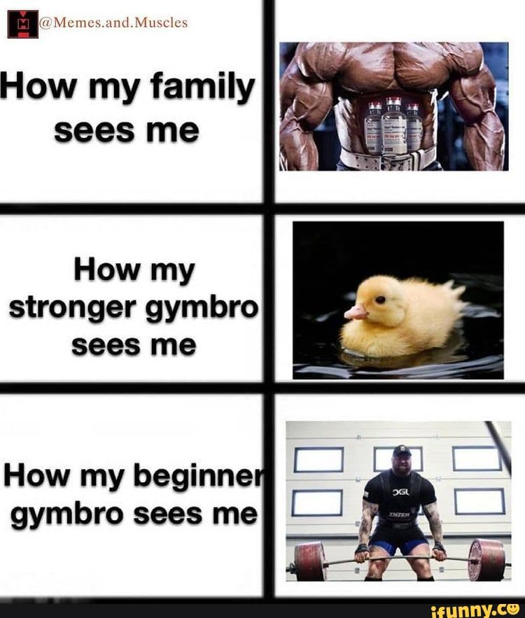 Bic Memes.and.Muscles How my family sees me How my stronger gymbro sees ...