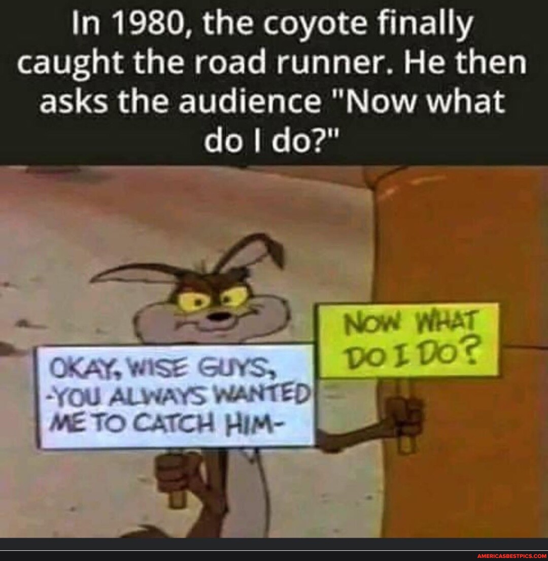 In 1980, the coyote finally caught the road runner. He then asks the ...