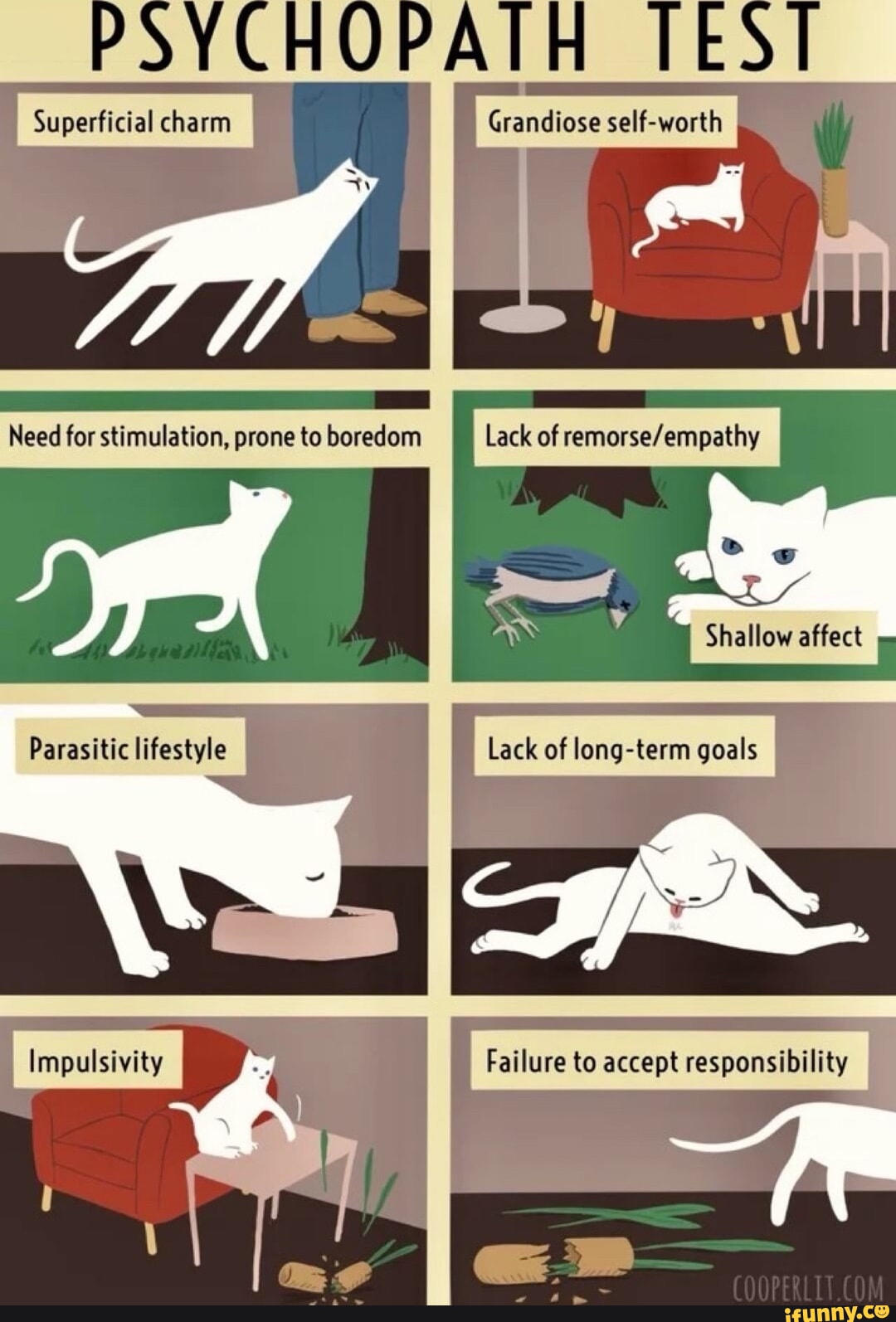 Superficial memes. Best Collection of funny Superficial pictures on iFunny