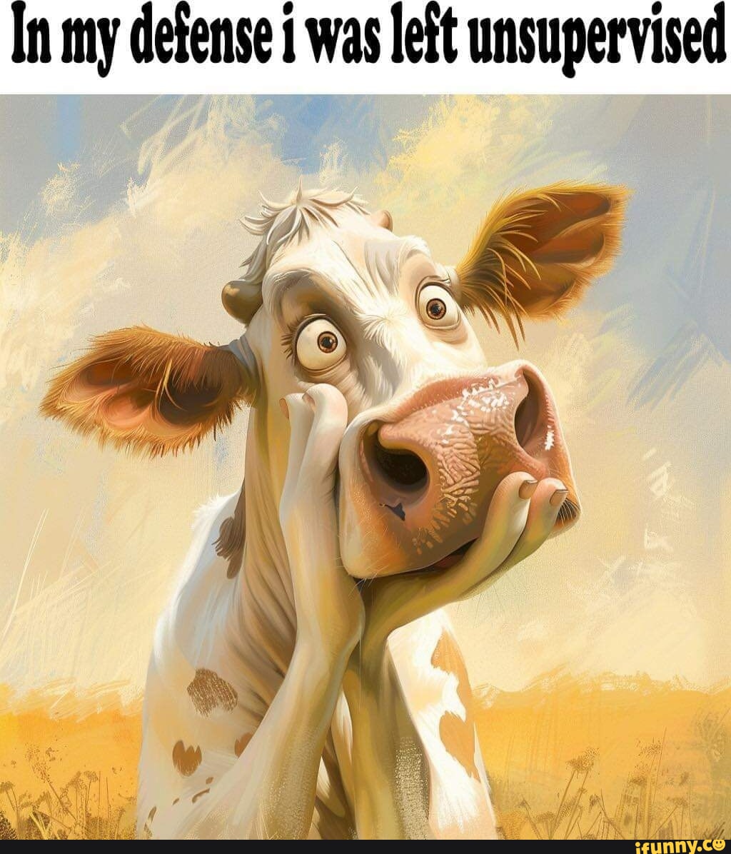 Unsupervised memes. Best Collection of funny Unsupervised pictures on ...