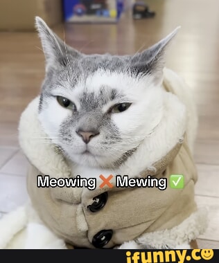 Mewing memes. Best Collection of funny Mewing pictures on iFunny