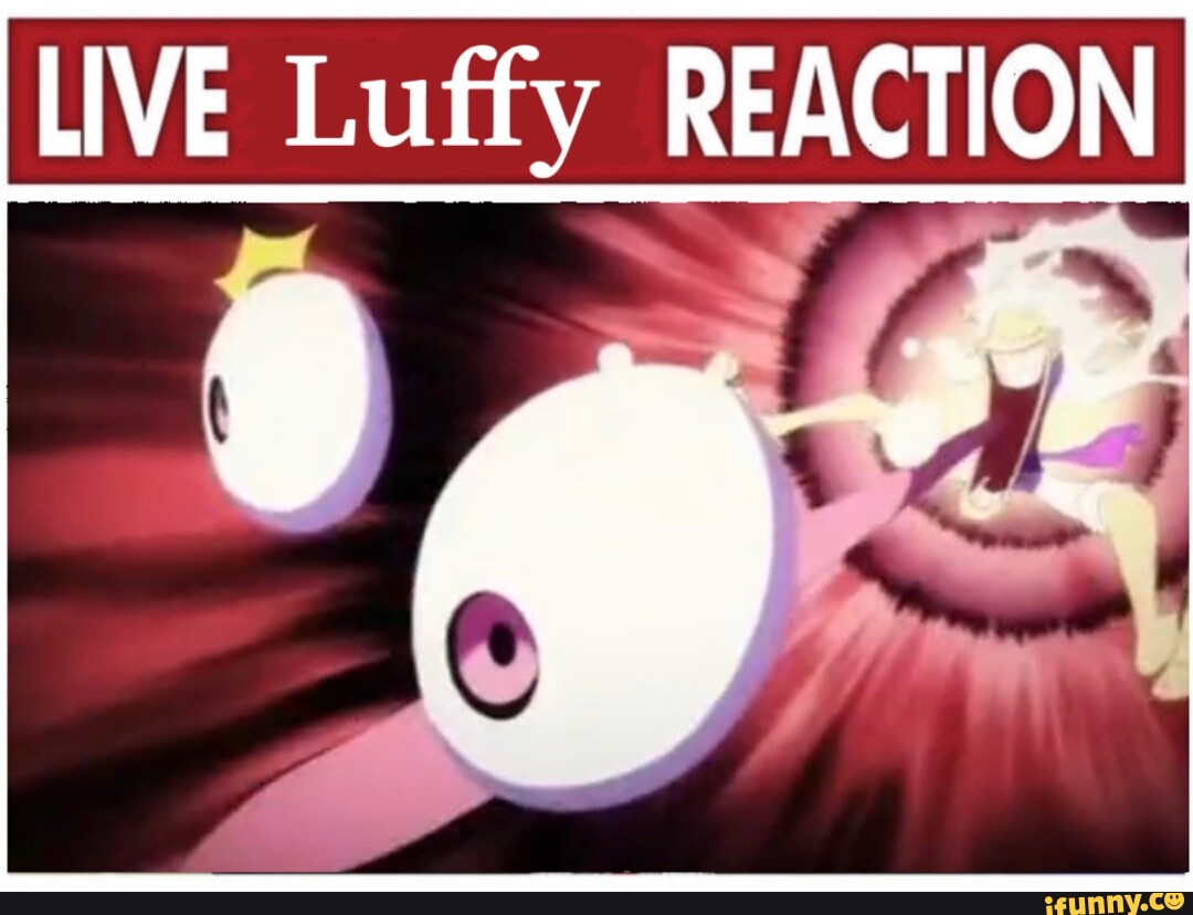 LIVE Luffy REACTION - iFunny
