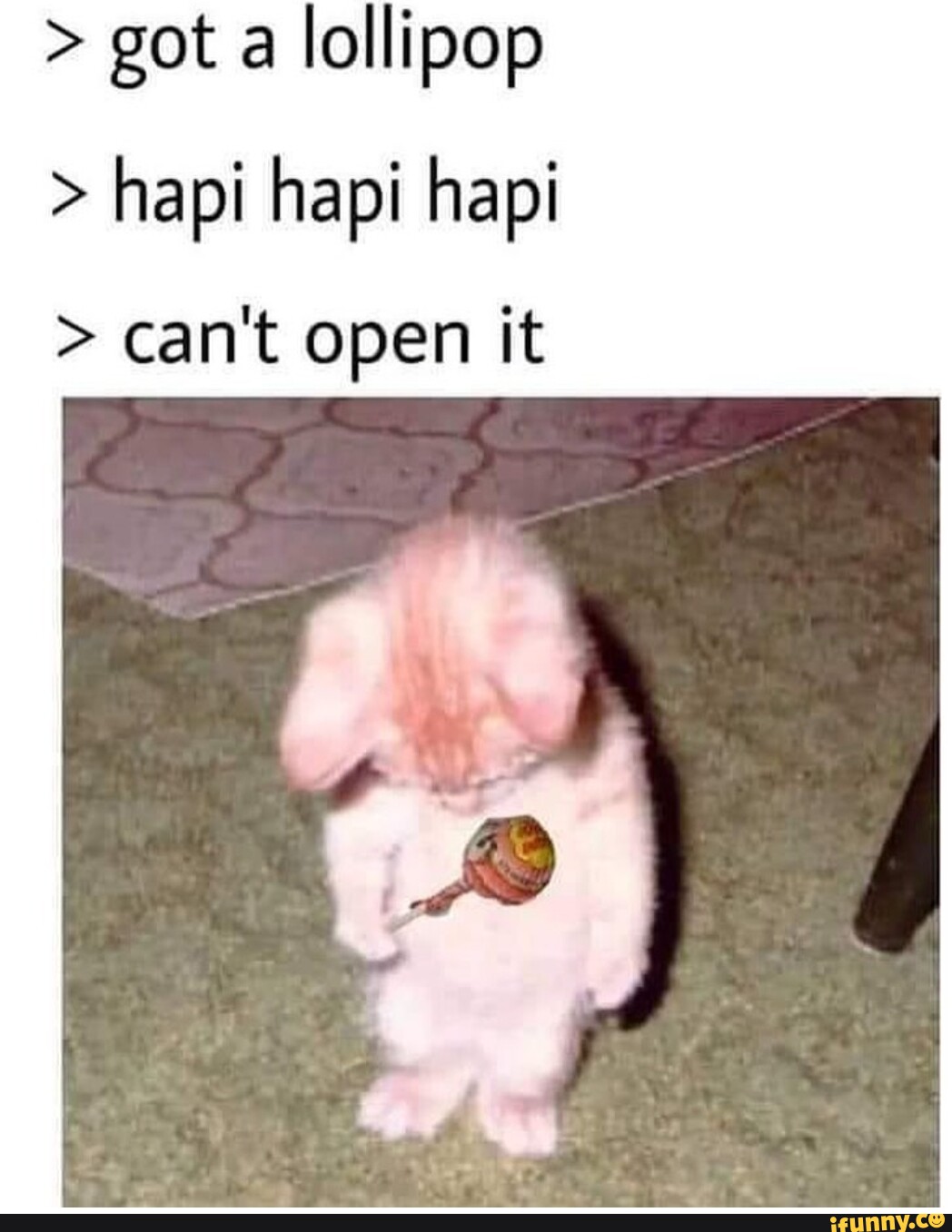 Video memes njFmn4SQA by The_Hermannator: 1 comment - iFunny