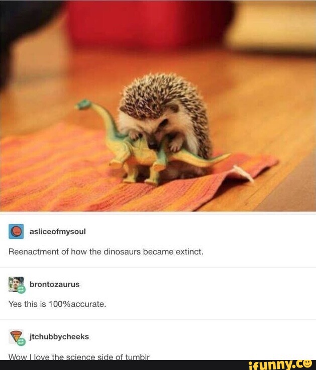 Reenactment memes. Best Collection of funny Reenactment pictures on iFunny