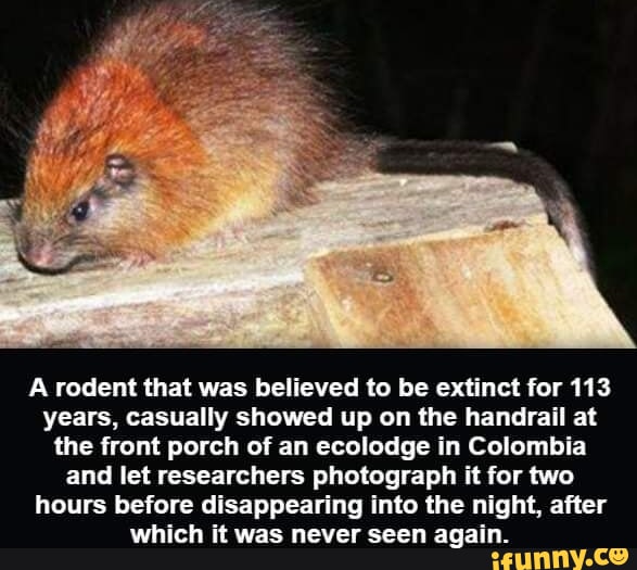 Handrail memes. Best Collection of funny Handrail pictures on iFunny