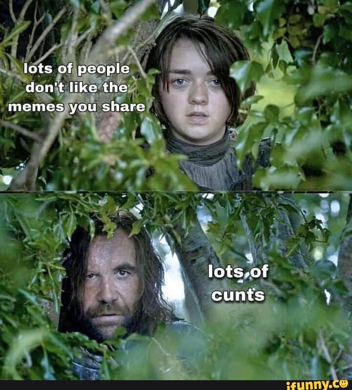 Lots of people don't like the memes you share lots.of cunts - iFunny
