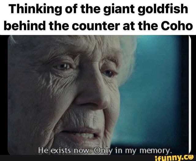 Thinking of the giant goldfish behind the counter at the Coho He ...