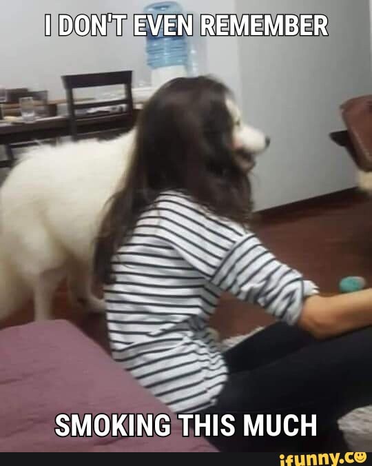 Smokeout memes. Best Collection of funny Smokeout pictures on iFunny