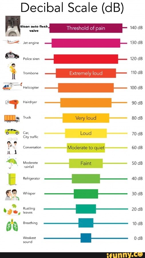 Decibal Scale (dB) valve auto flush Threshold 140 dB 130 120 100 aB ...