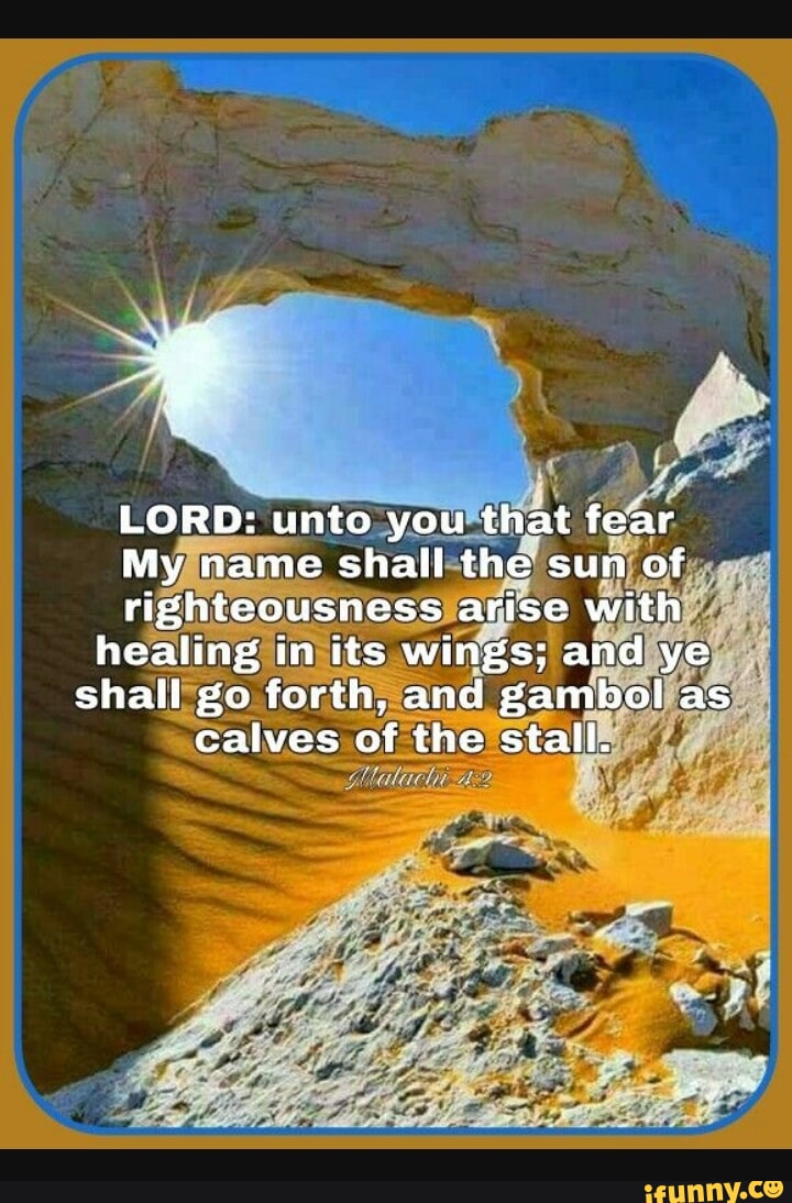 Gambol memes. Best Collection of funny Gambol pictures on iFunny