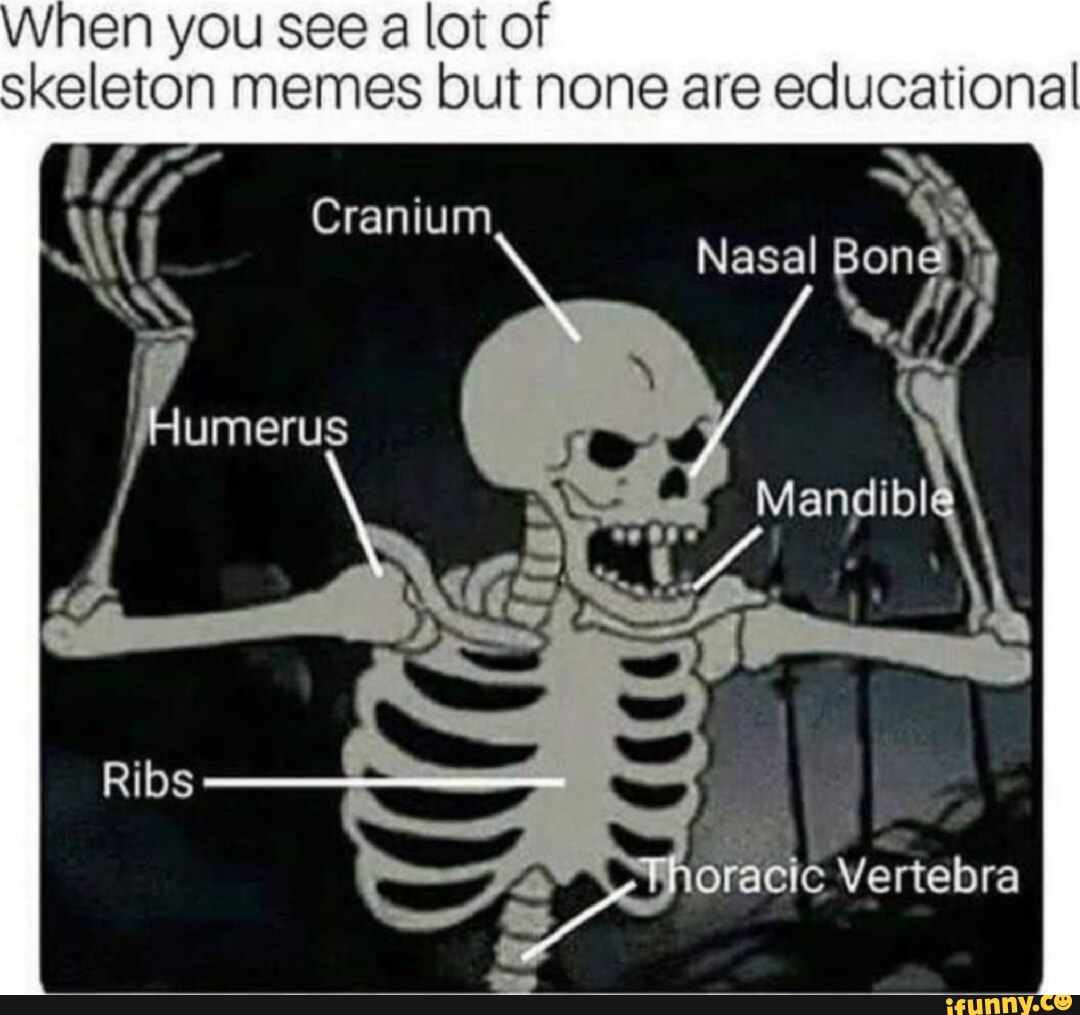 When you see lot of skeleton memes but none are educational Cranium ...