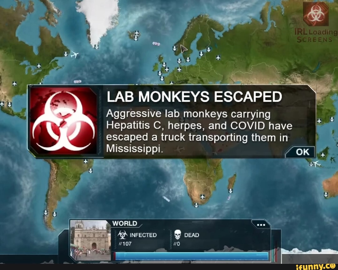 Mississippi. LAB MONKEYS ESCAPED Aggressive lab monkeys carrying ...