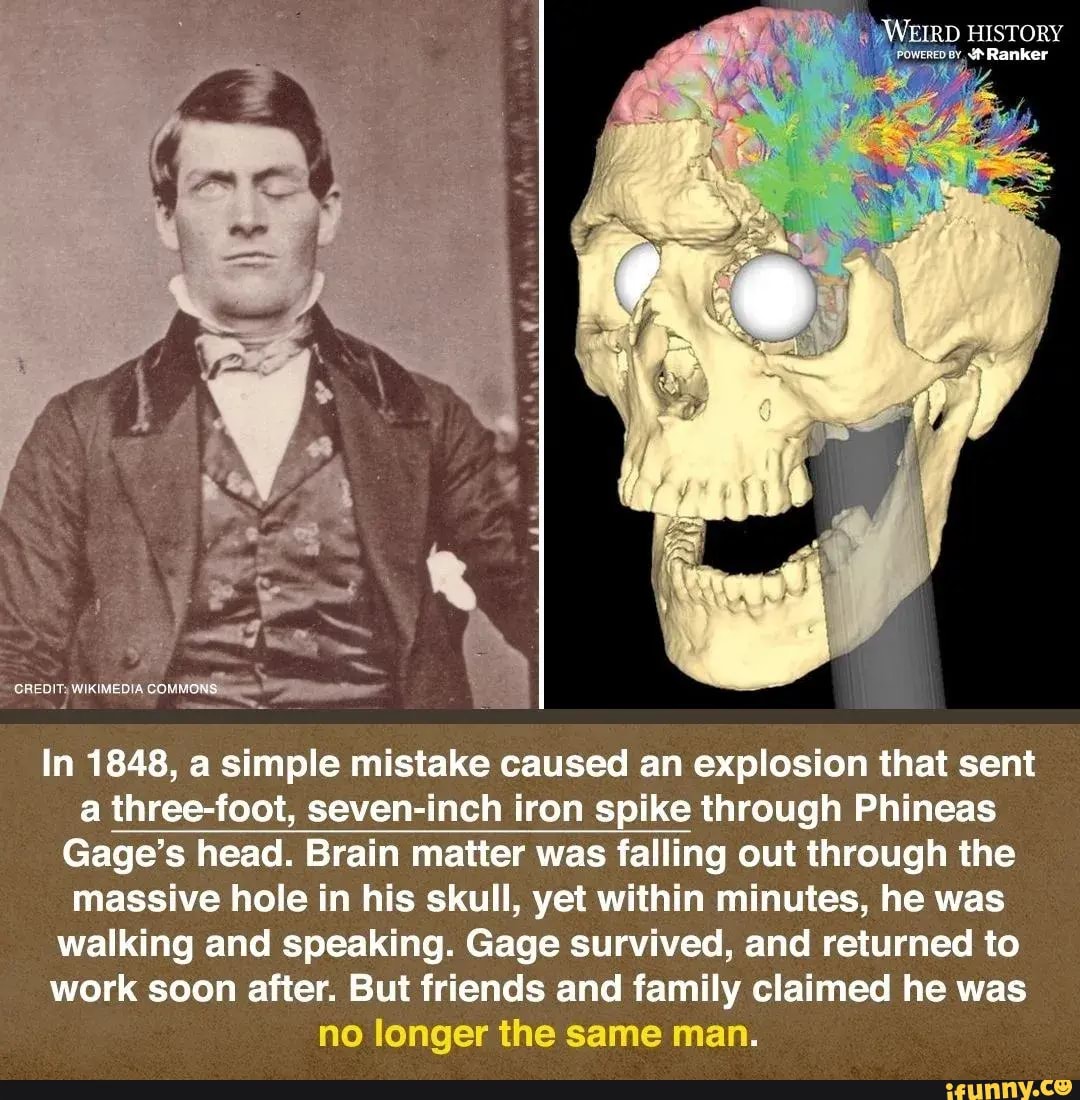 𝗣𝘀𝘆𝗰𝗵𝗼𝗹𝗼𝗴𝗶𝗰𝗮𝗹 memes. Best Collection of funny 𝗣𝘀𝘆𝗰𝗵𝗼𝗹𝗼𝗴𝗶𝗰𝗮𝗹 pictures on ...