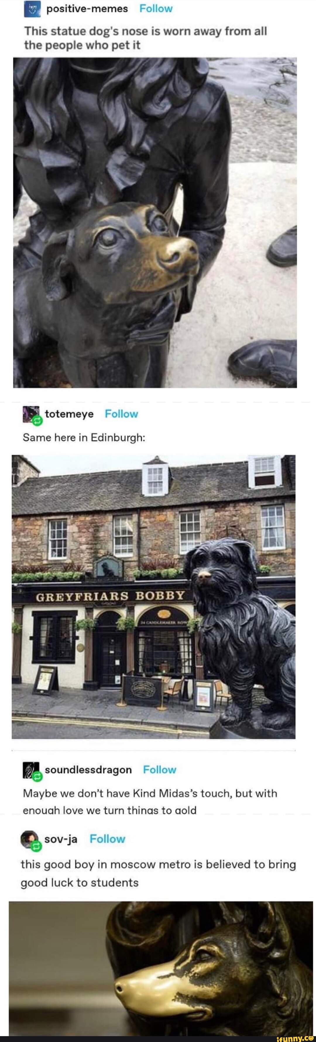 Yeah sex is cool but have you ever earned the trust of a cat - iFunny