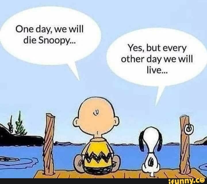 Die Snoopy... Yes, but every other day we will - iFunny